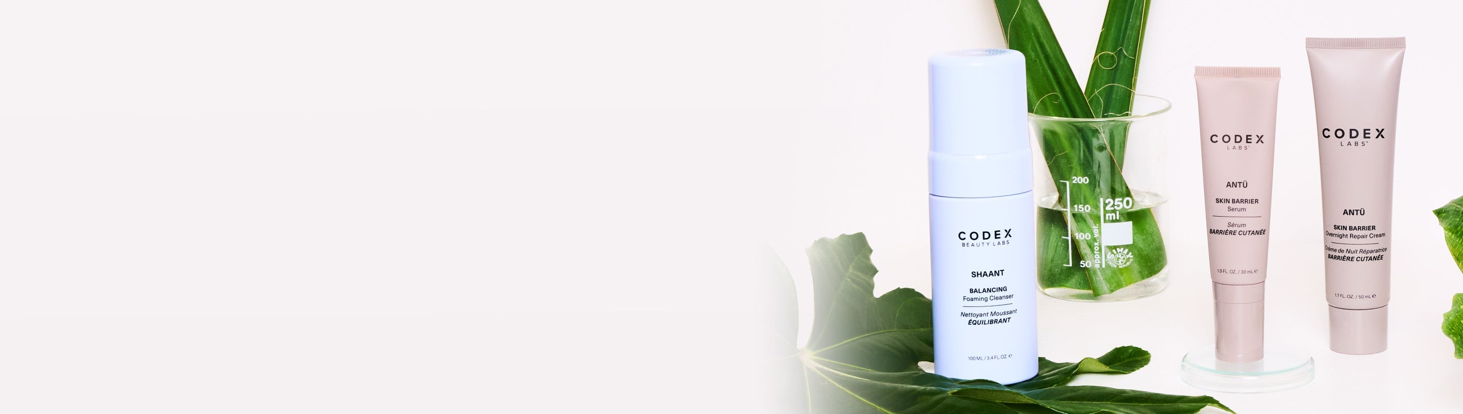 Sady – Codex Labs of Europe
